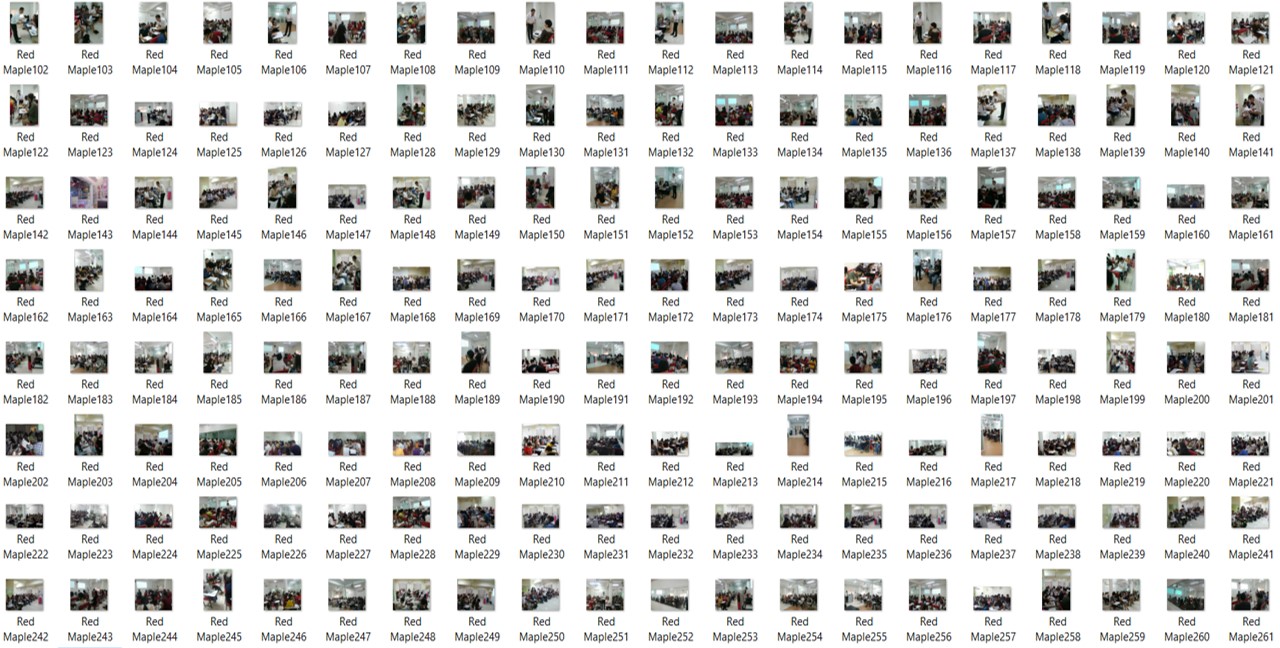 ติวTOEICออนไลน์ แบบเร่งรัด โปรใหม่ คือคอร์ส ติวTOEICออนไลน์ ที่ดีที่สุดของ Red Maple - Online ...